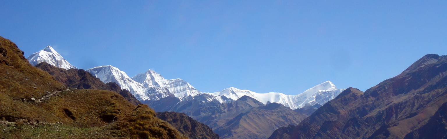 Blue Sheep Hunting in Dhorpatan Hunting Reserve