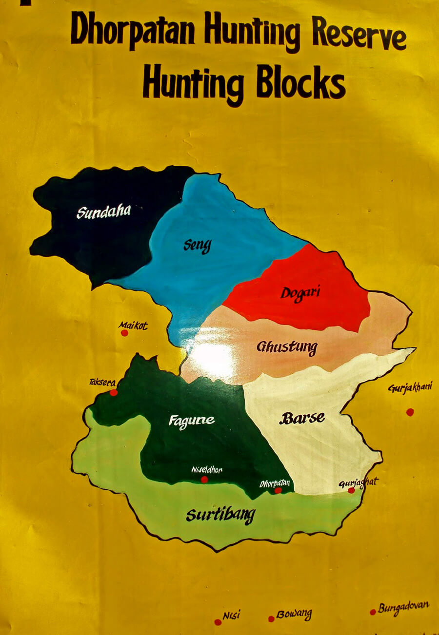 Blue Sheep Hunting in the Himalayas on Low Budget- Trophy Hunting